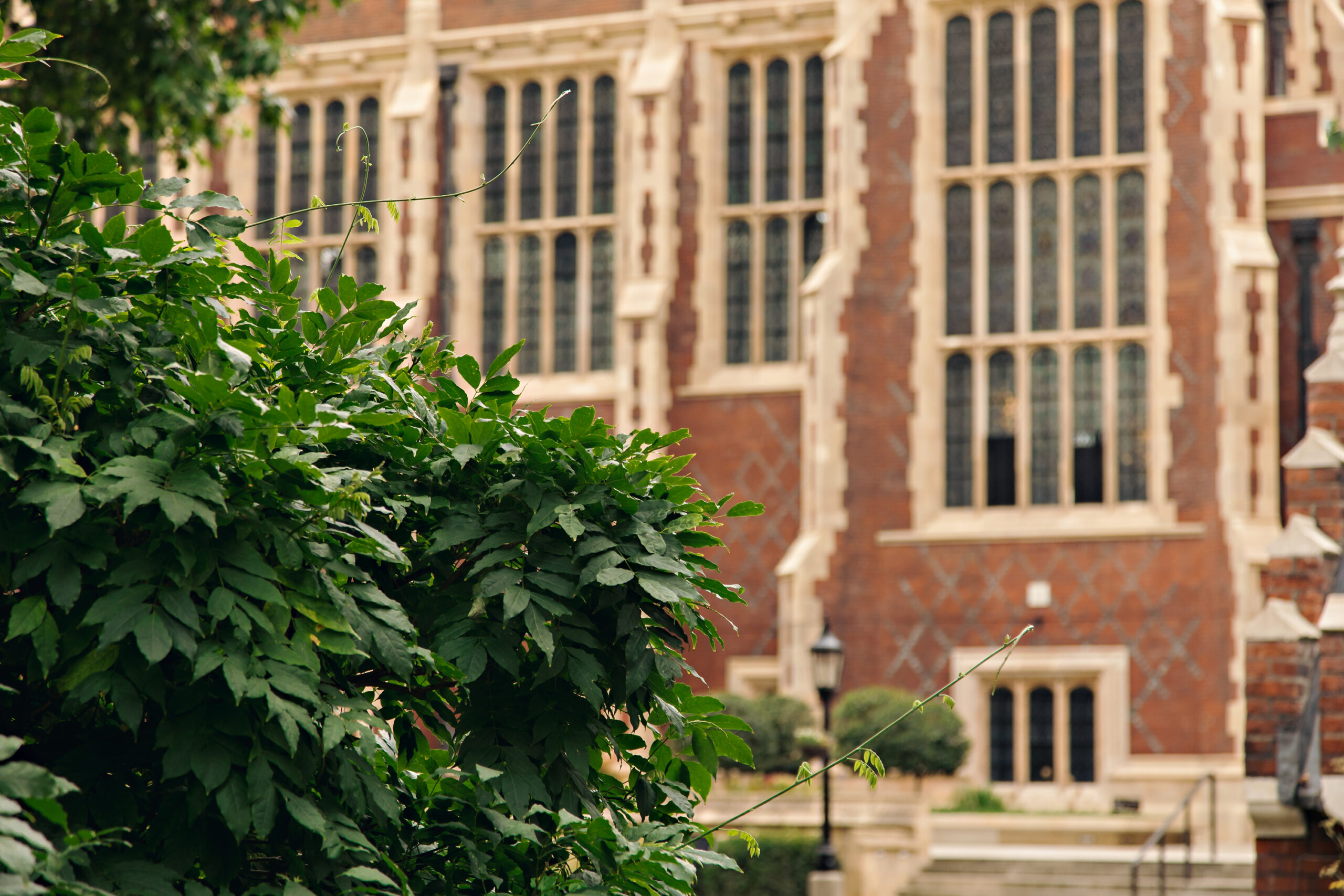 Judgment handed down in Adie v Ingenuity Digital Ltd [2024] EWHC 2902 ...